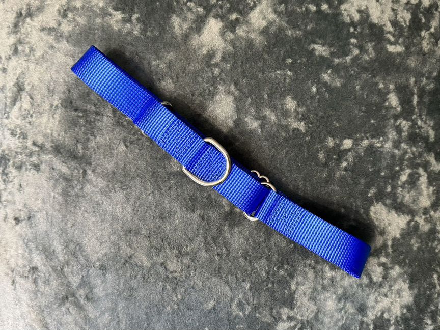 Ошейник - мартингейл для собак