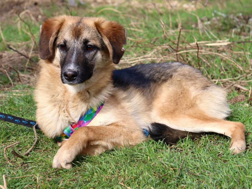 Нежная Эва мечтает о доме