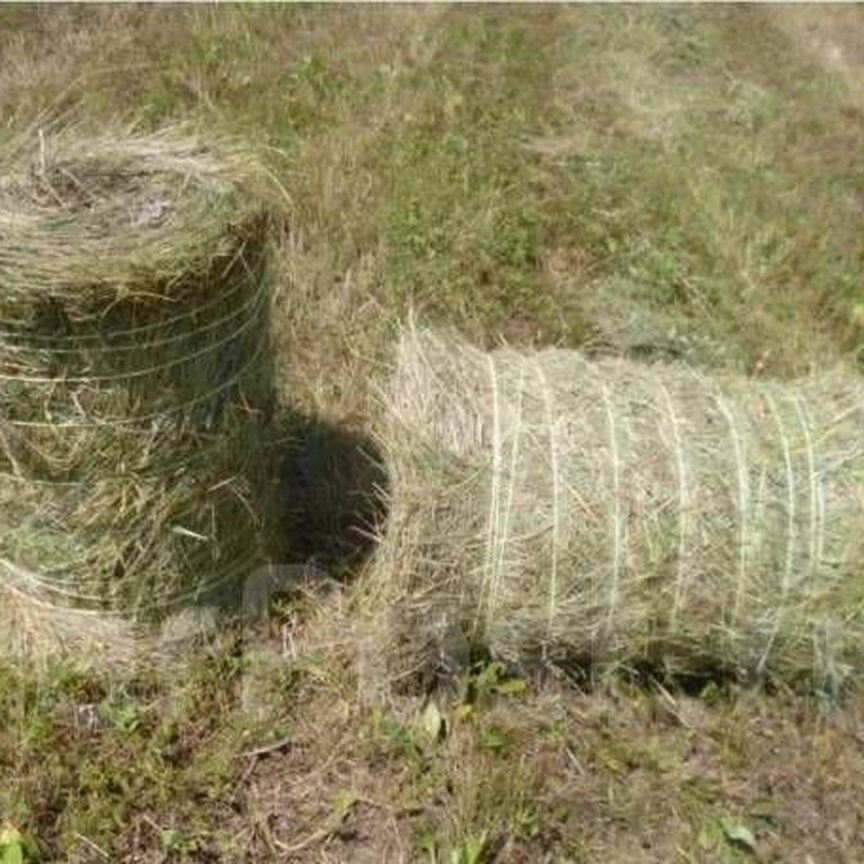 Сено в мини рулонах
