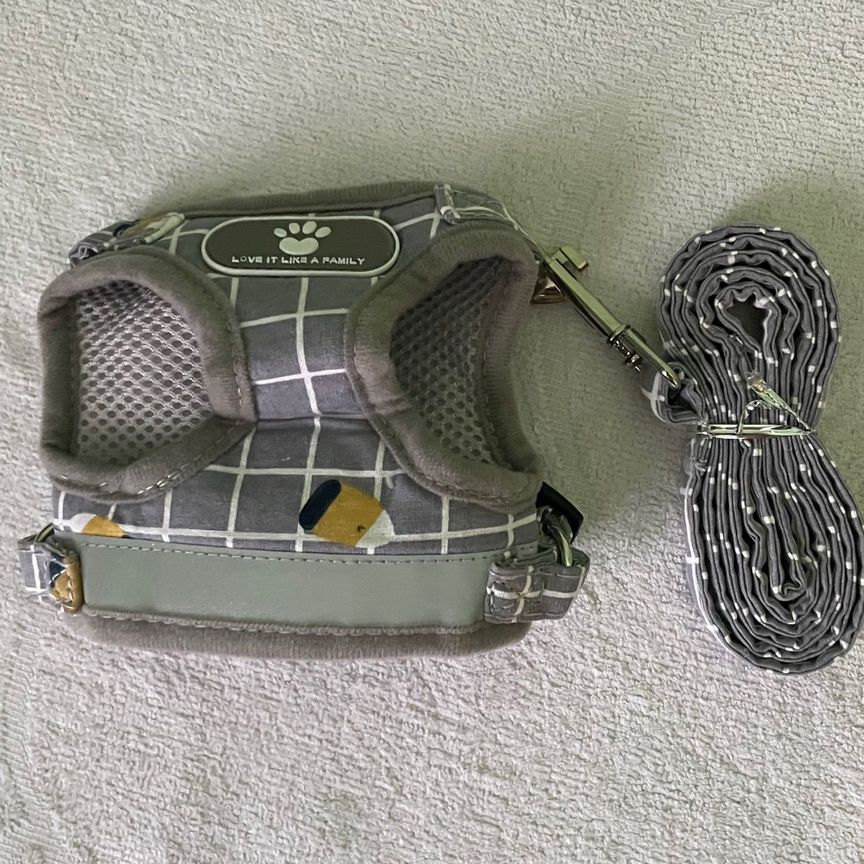 Шлейка для маленькой собаки xs с поводком