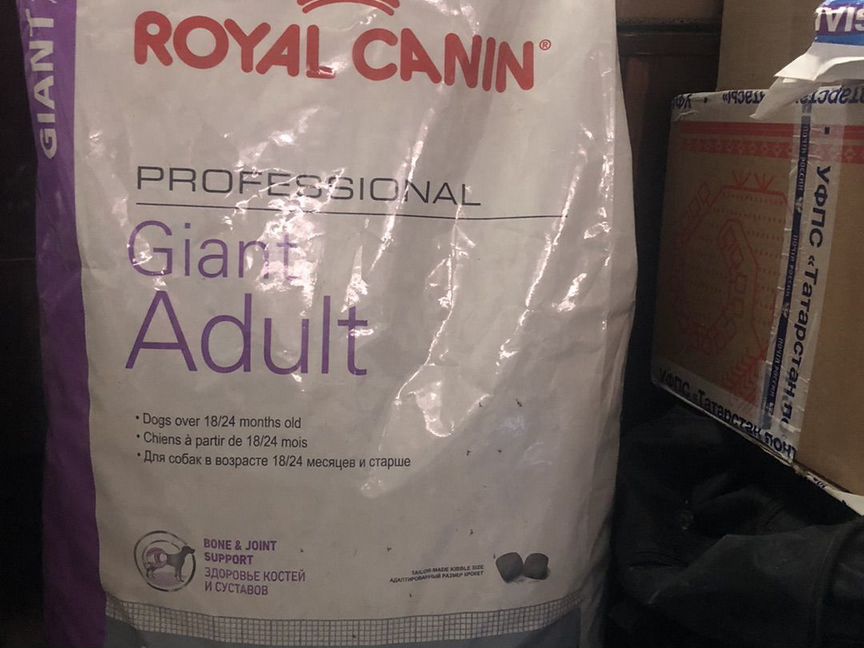 Royal canin professional giant adult