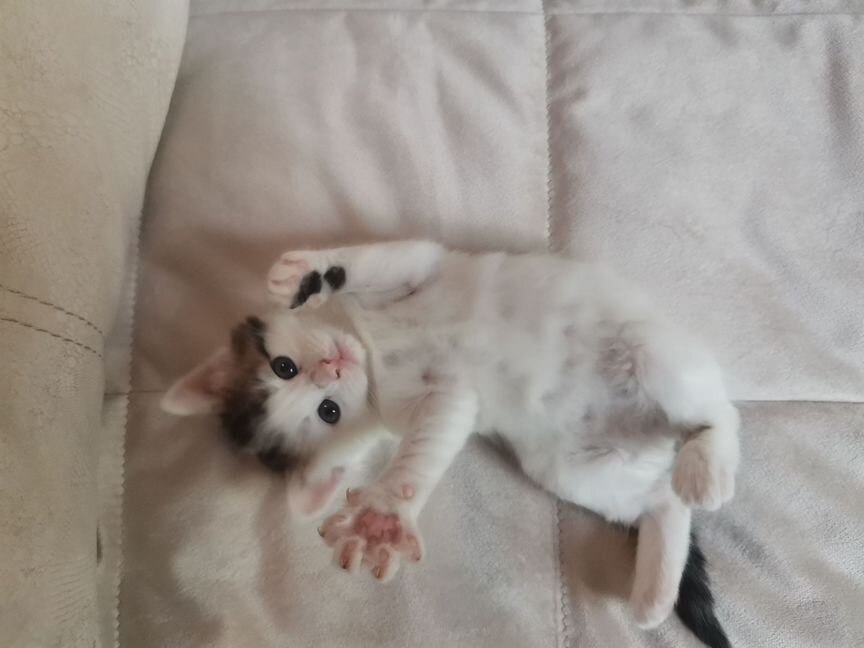 Милая крошка