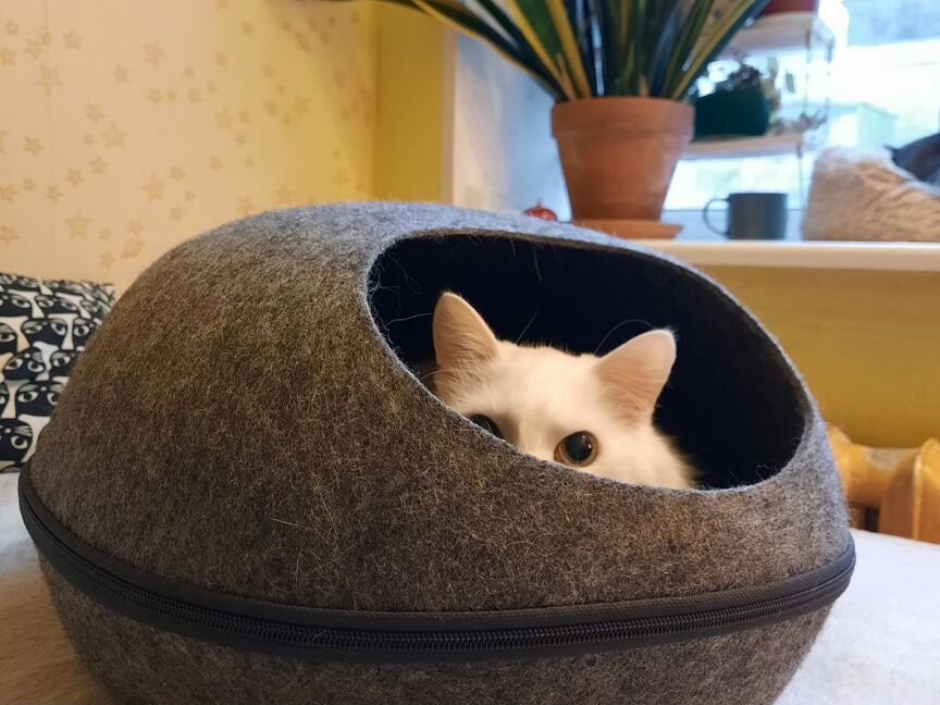 Лежак, домик для кошек б/у