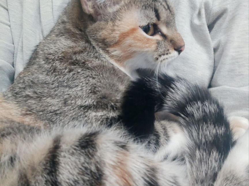 Европейская