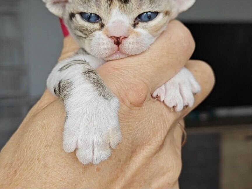 Божественно красива