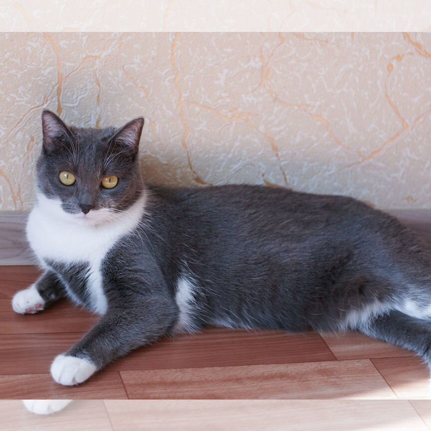 И снова 1 сентября