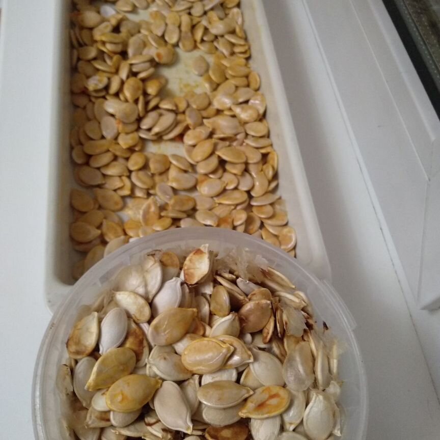Тыквенные семечки