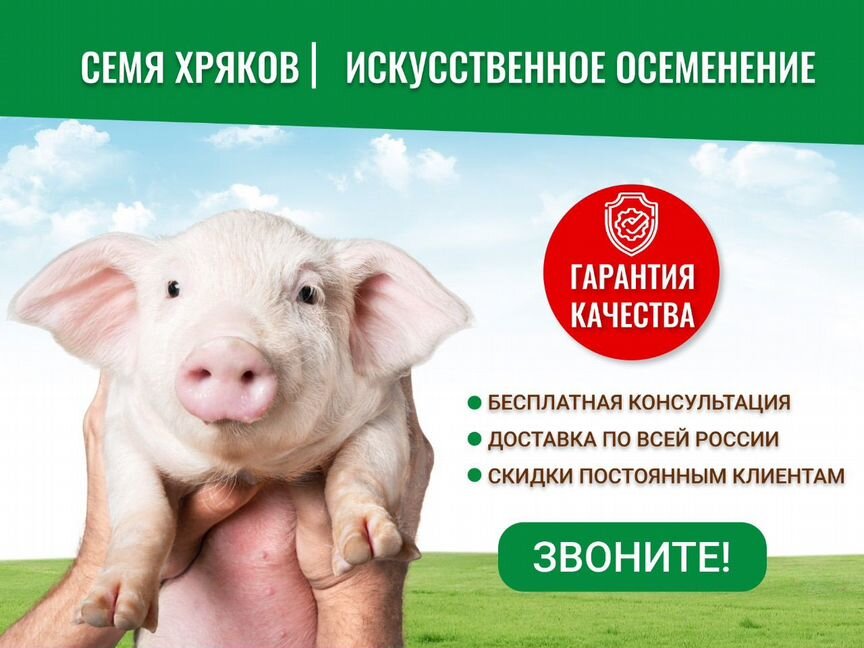 Жидкие поросята