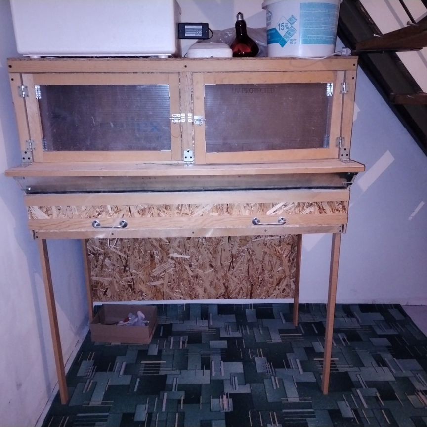 Брудер для цыплят