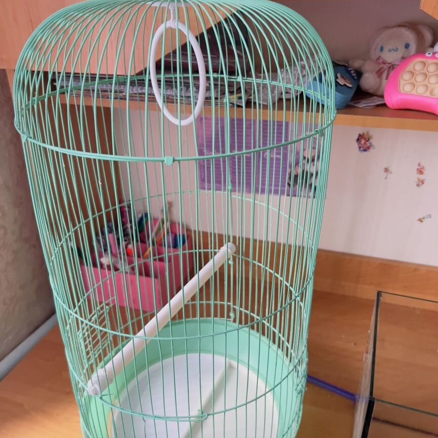 Клетка и аквариум