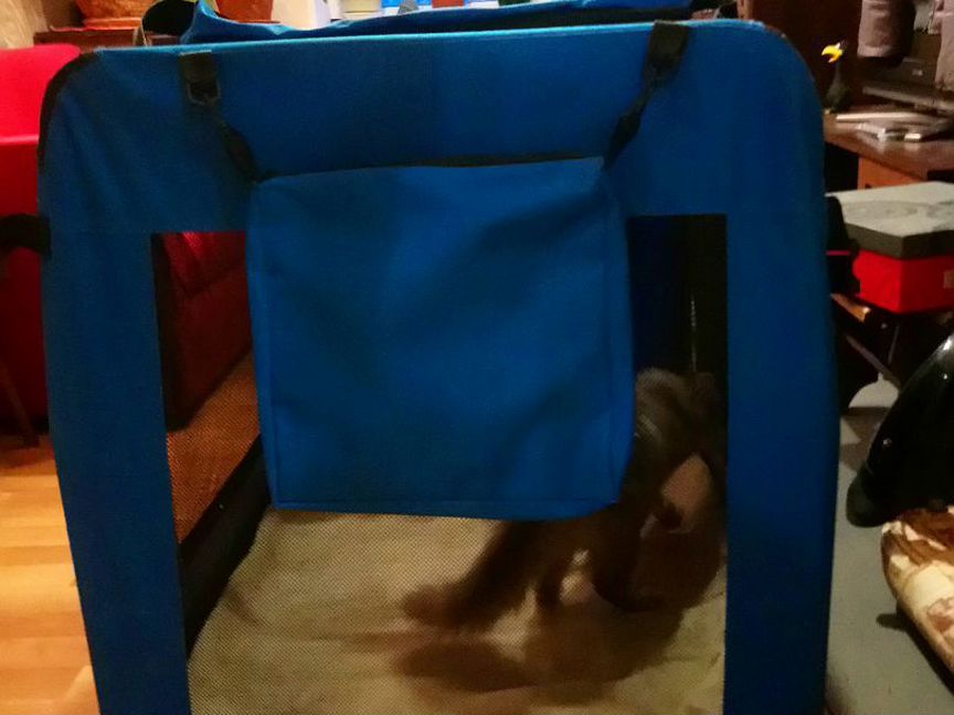 Клетка вольер для большой собаки бу