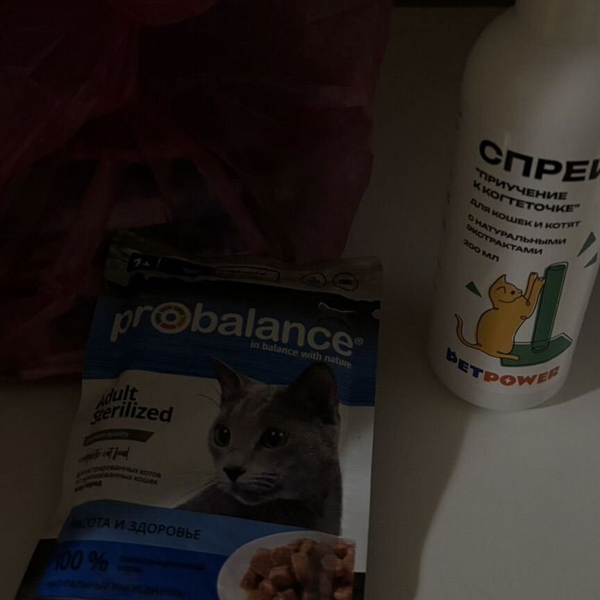 Корм доя кошек