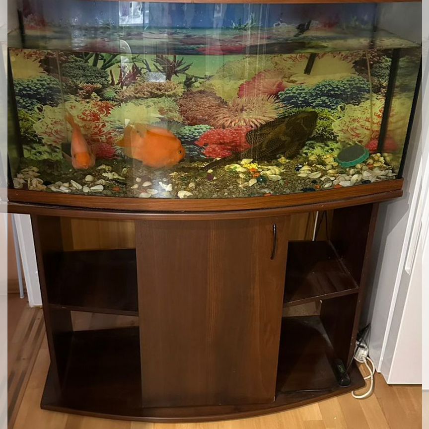 Аквариум с тумбой