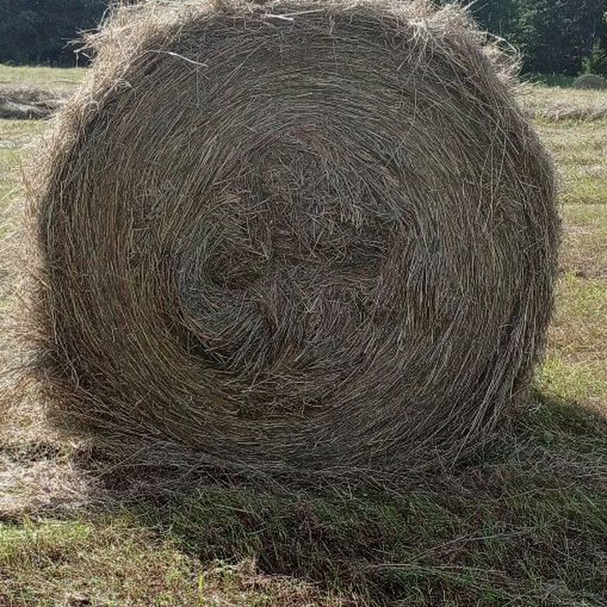 Сено в тюках