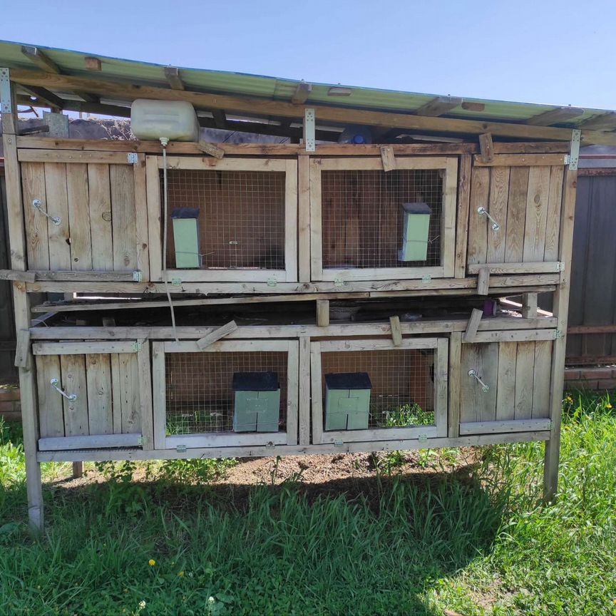 Клетка для кроликов крольчатник