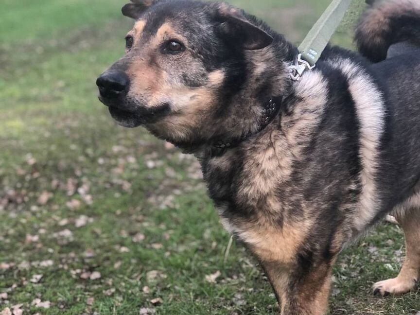 Подарите Тэду любовь