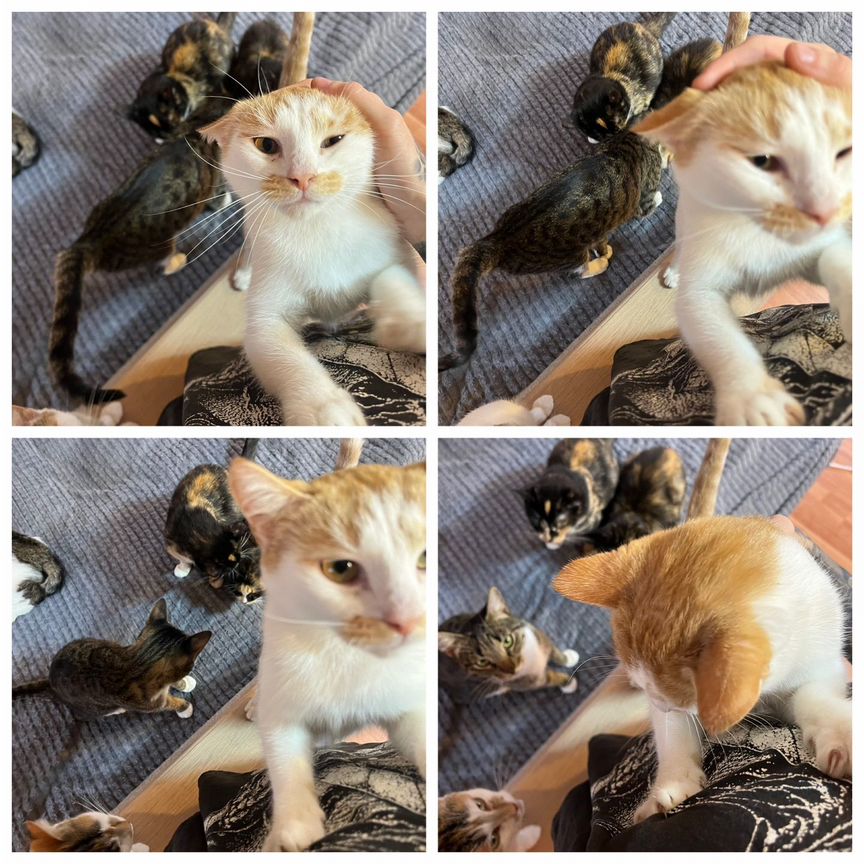 Возьми меня