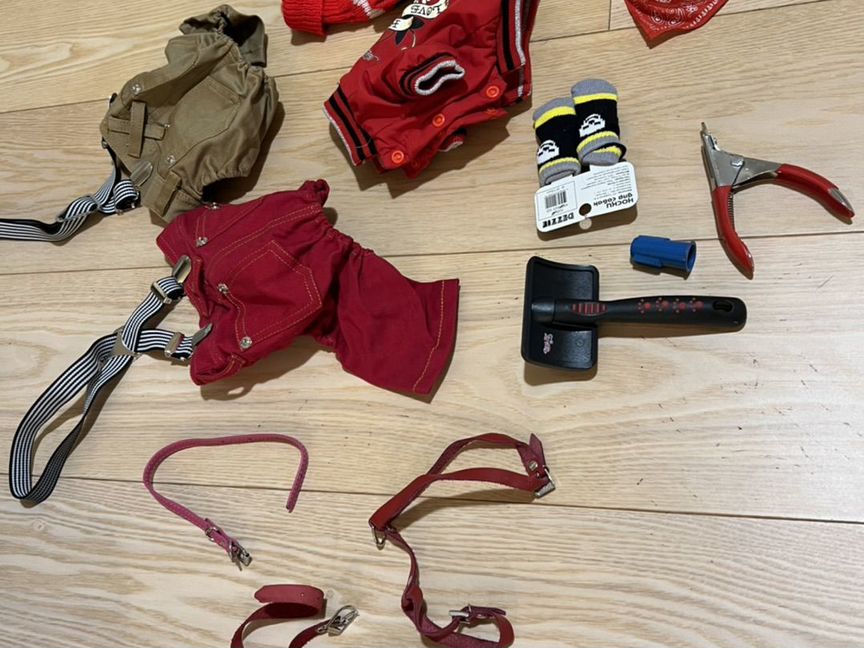 Одеждя и принадлежности для собак