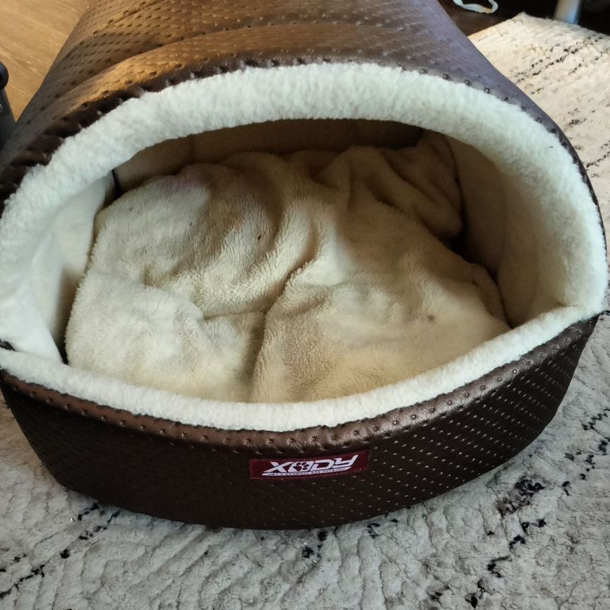 Кошкин домик