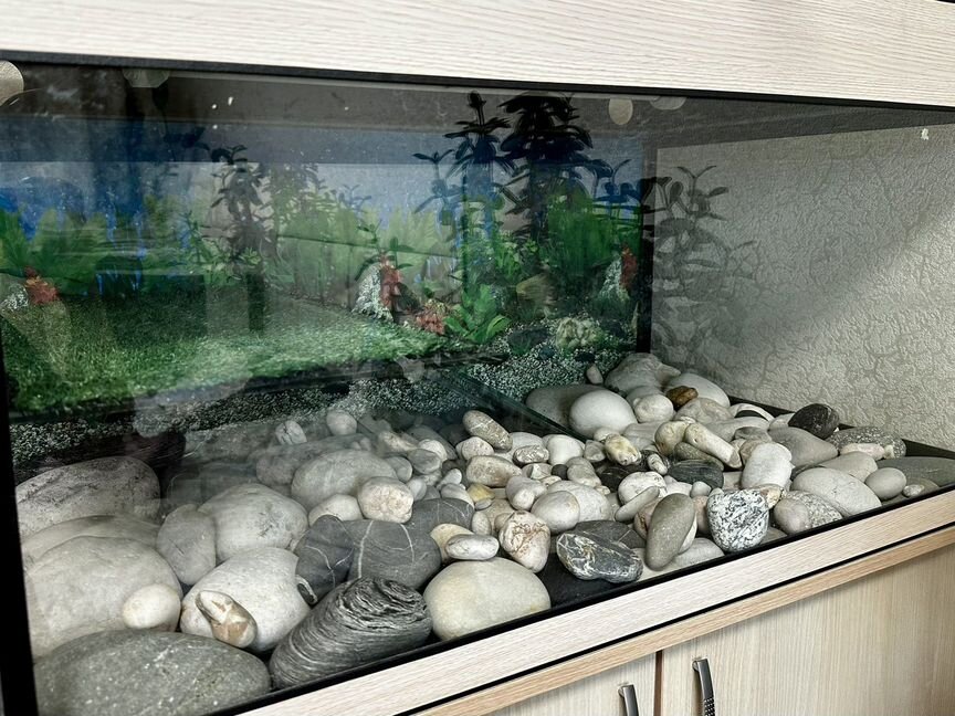 Акватеррариум с тумбой на 200 литров