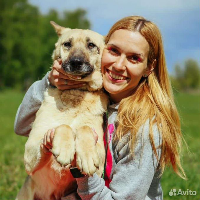 Собака крошка Звездочка грустит в приюте