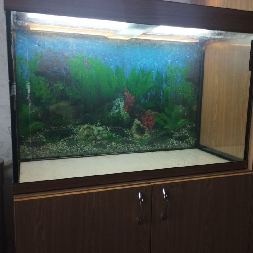 Продаю аквариум 240л