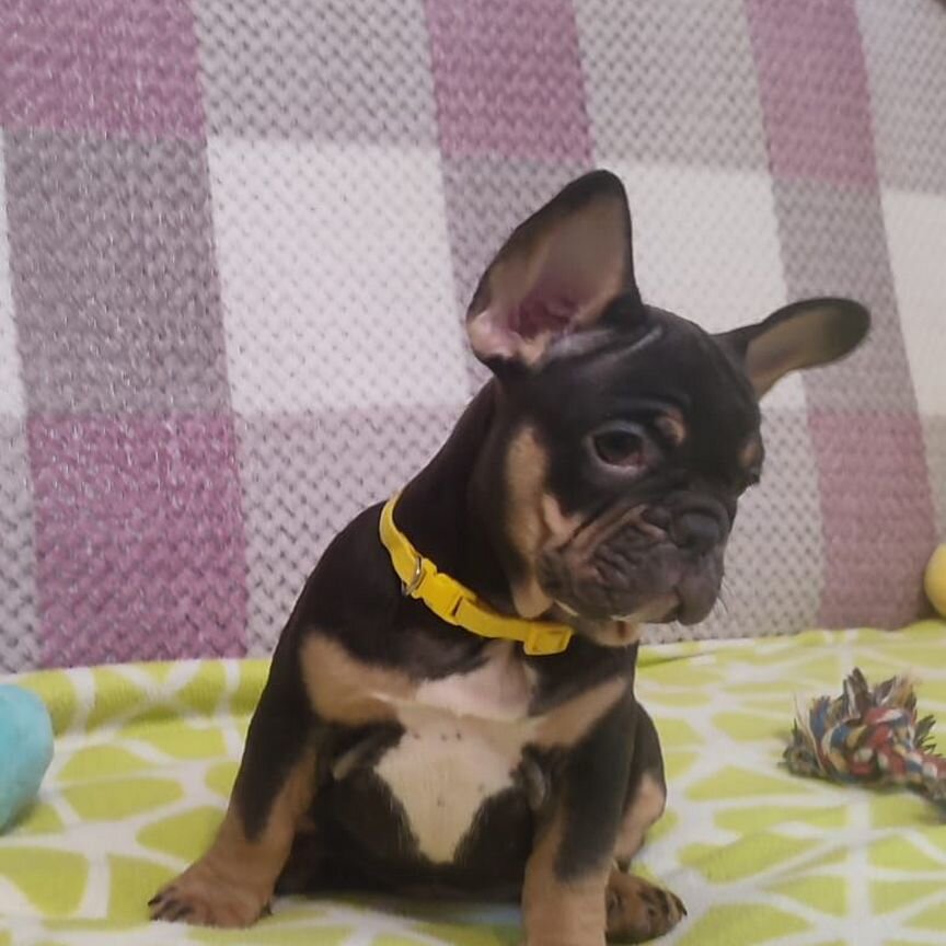 Суперский ребёнок