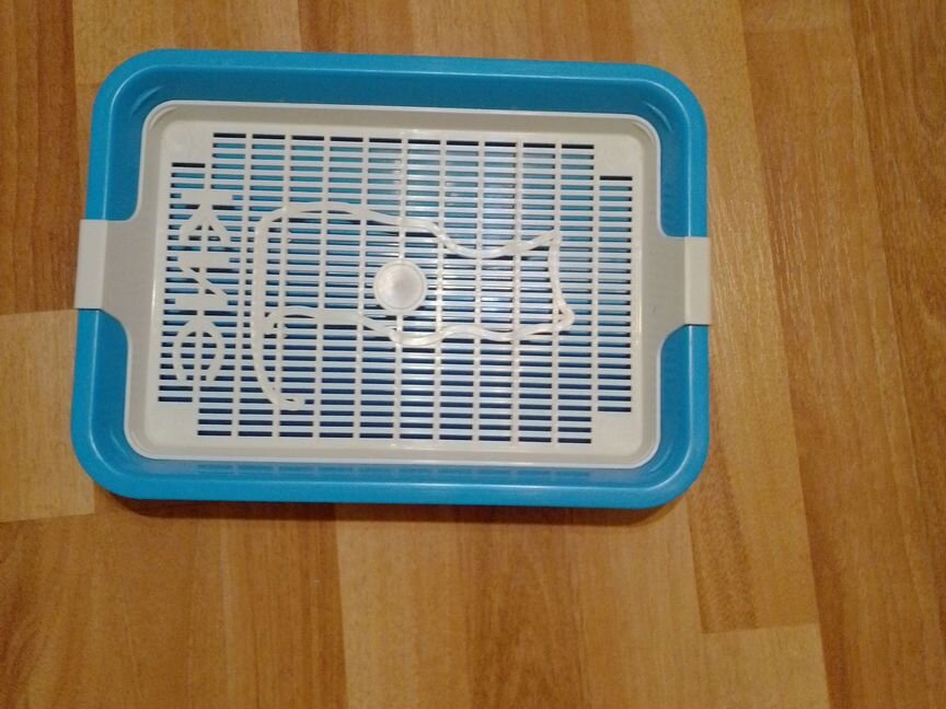 Лоток для котят