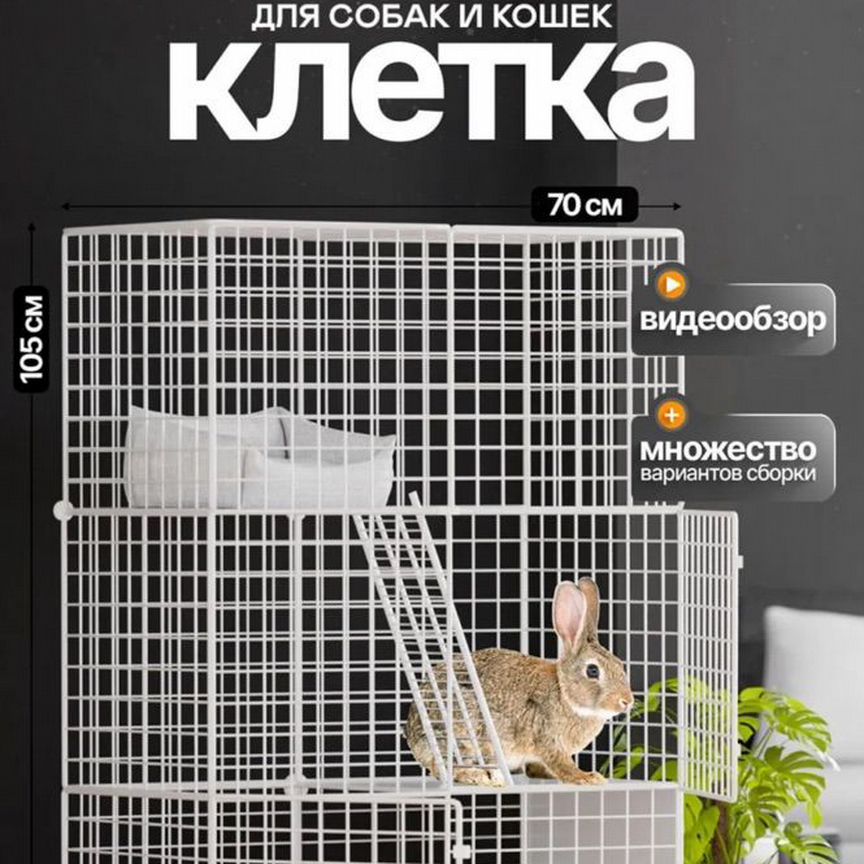 Клетка