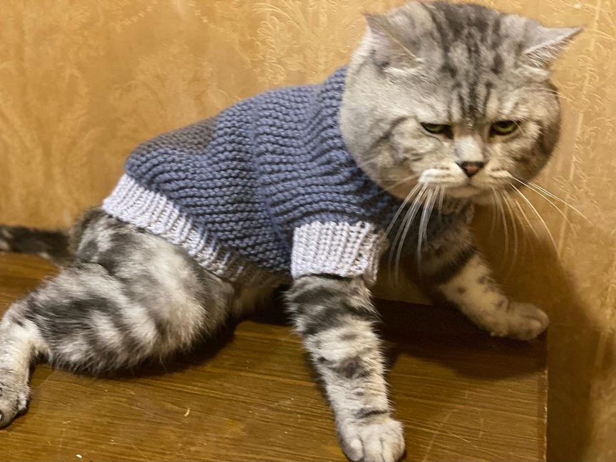Свитер одежда для кошек, собак хэндмейд