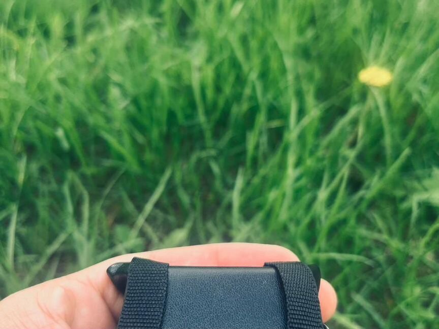 Gps трекер для крс мелких животных
