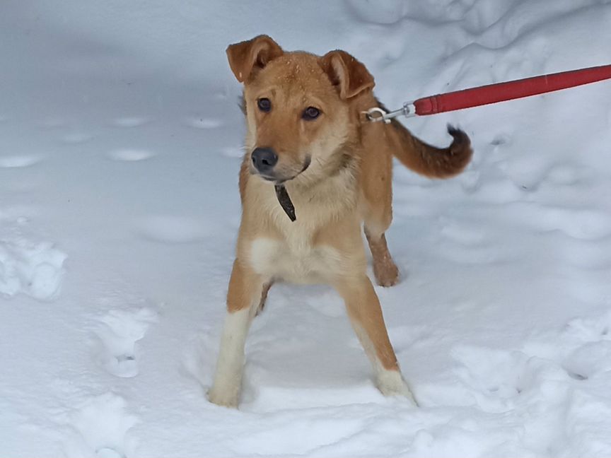 Очаровательное солнышко Мила, 6 месяцев