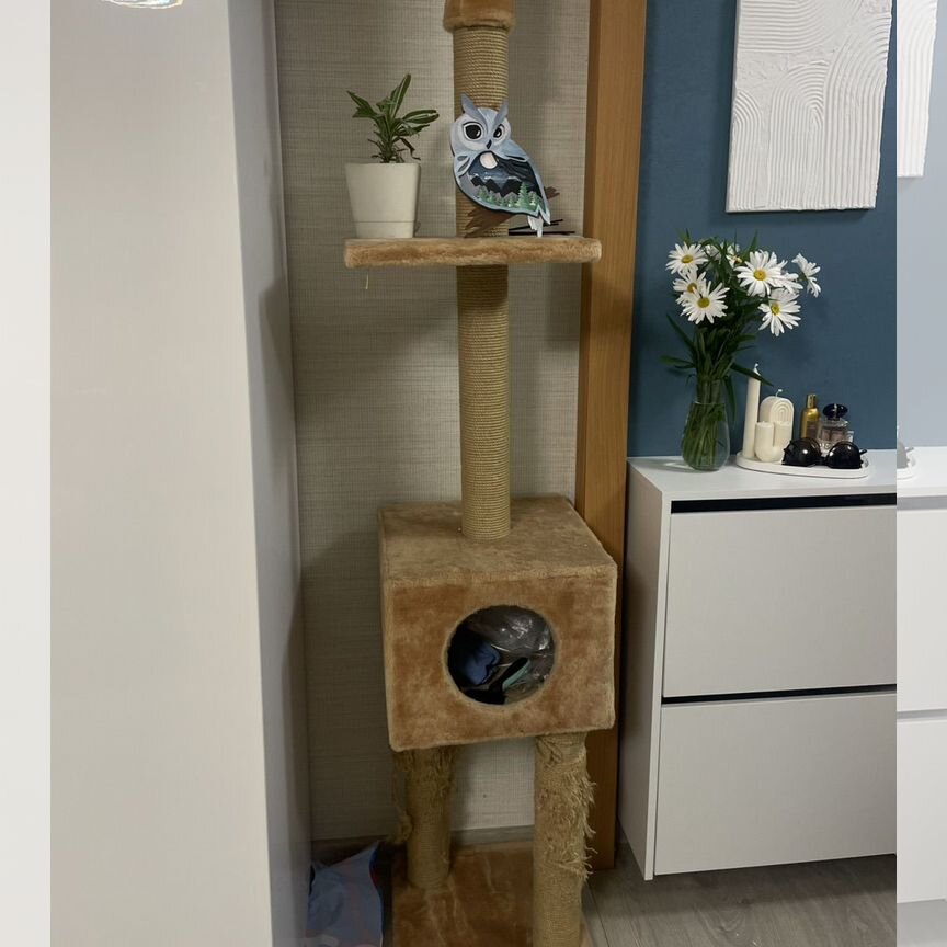 Когтеточка с домиком