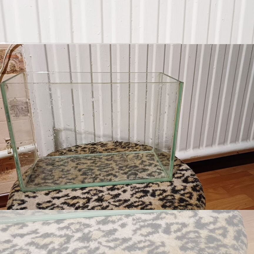 Аквариум 10л