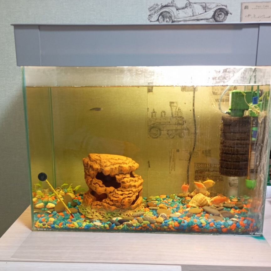 Аквариум 90л с рыбками