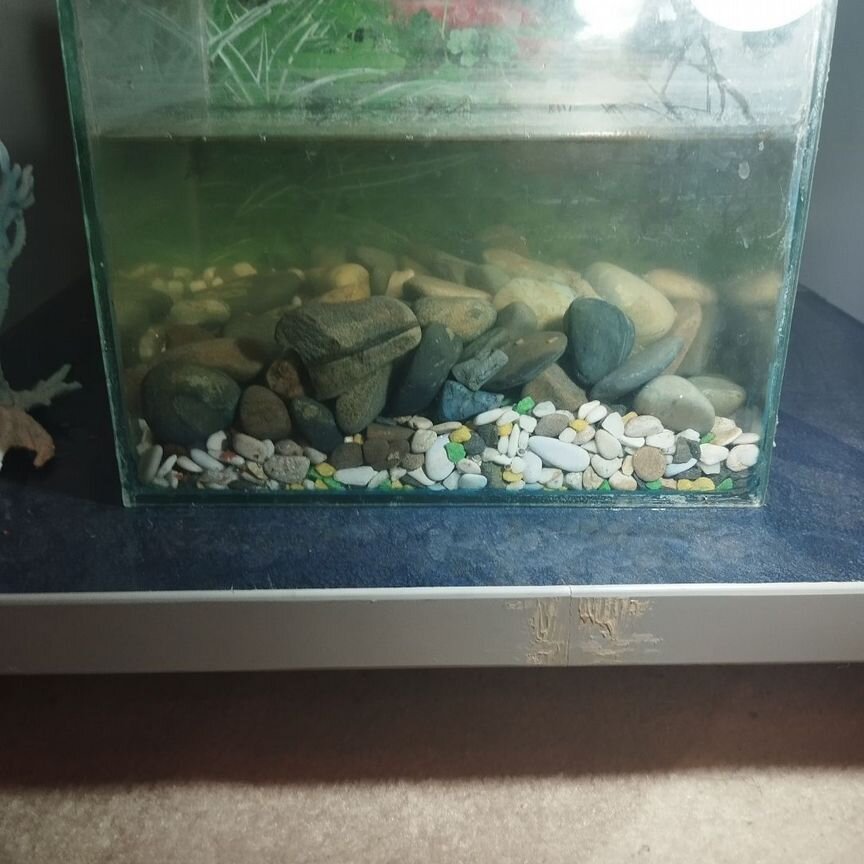 Аквариум-пересадочный