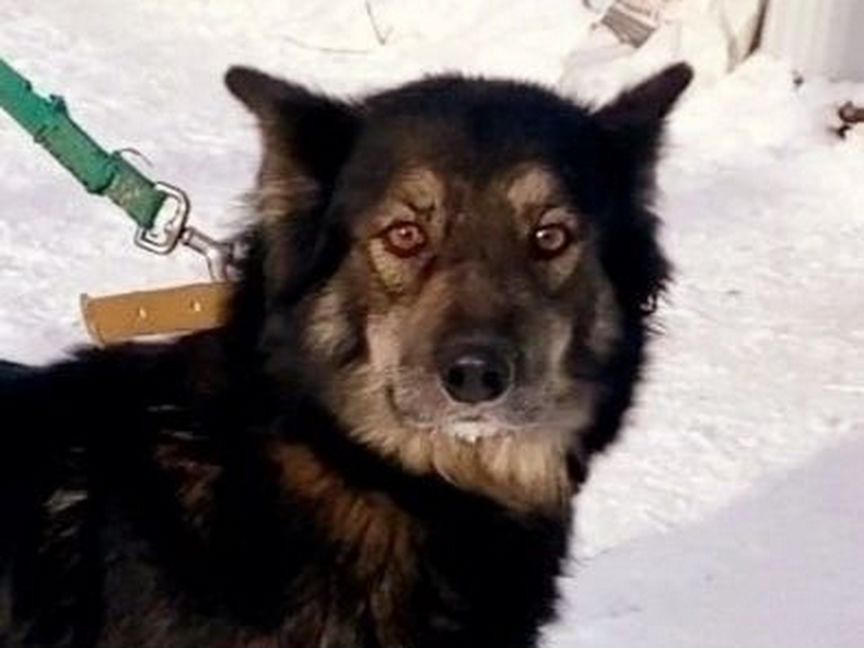 Тесса, шикарная красотка