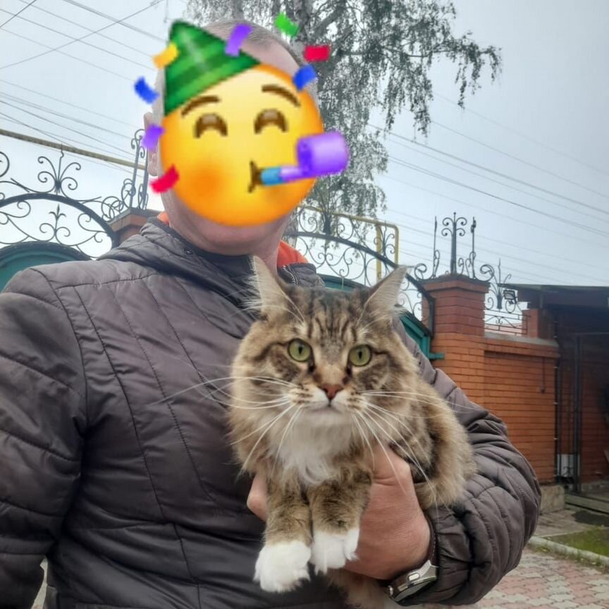 Отдам в добрые руки