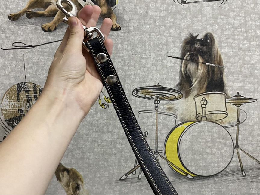 Водилка для собак