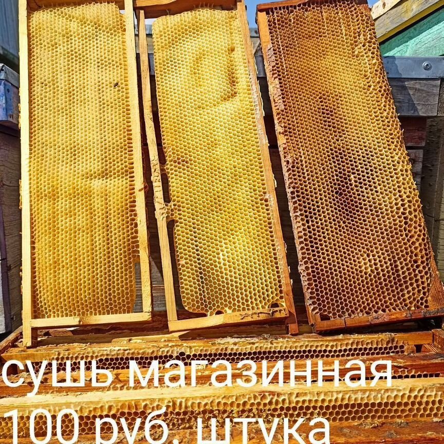 Сушь магазинная