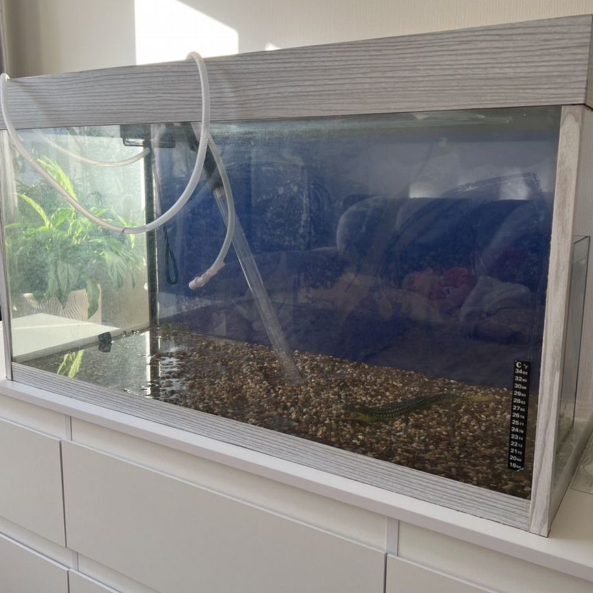 Аквариум 200 литров