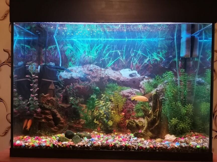 Аквариум с тумбой
