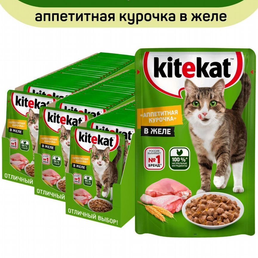 Корм для кошек