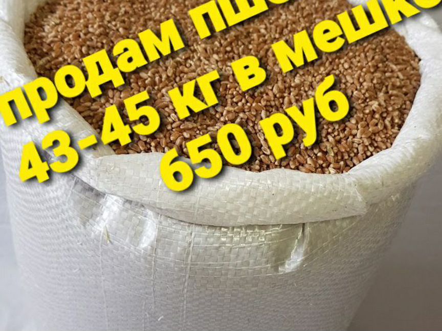 Корма для животных