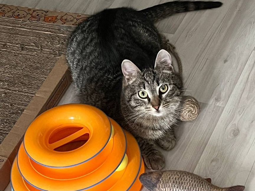 Я подожду, но ты поторопись