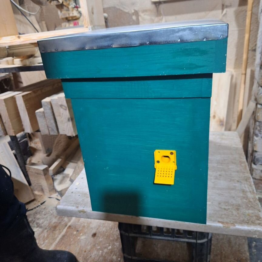 Улей нуклеус