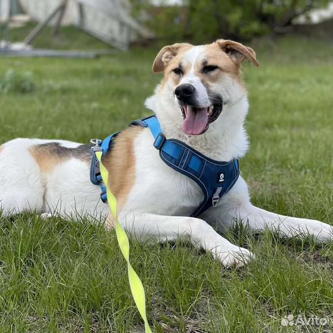 Самый красивый мальчик