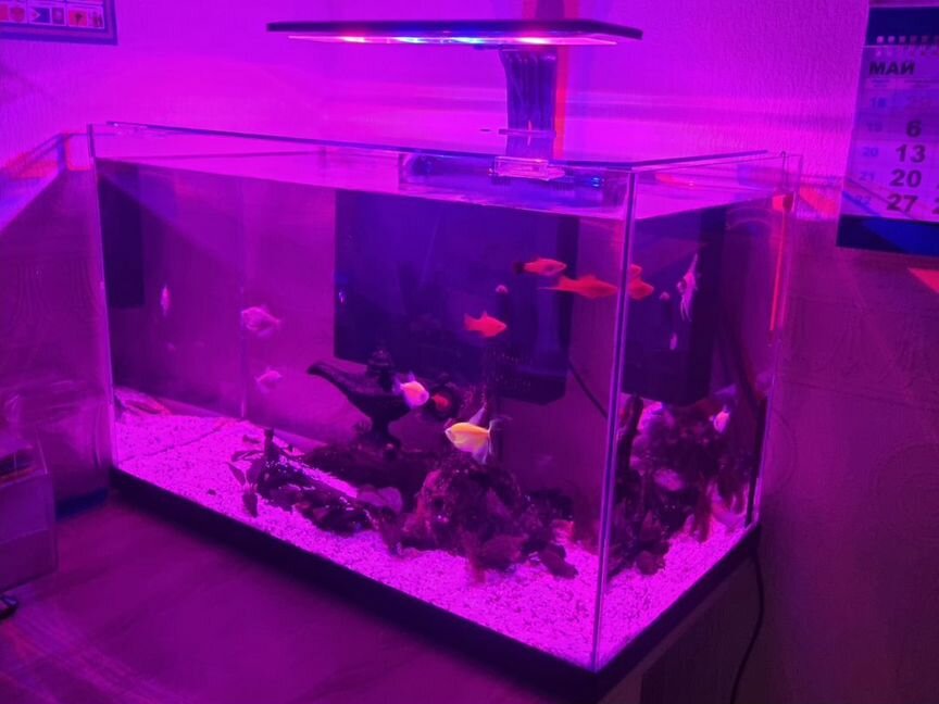 Аквариум