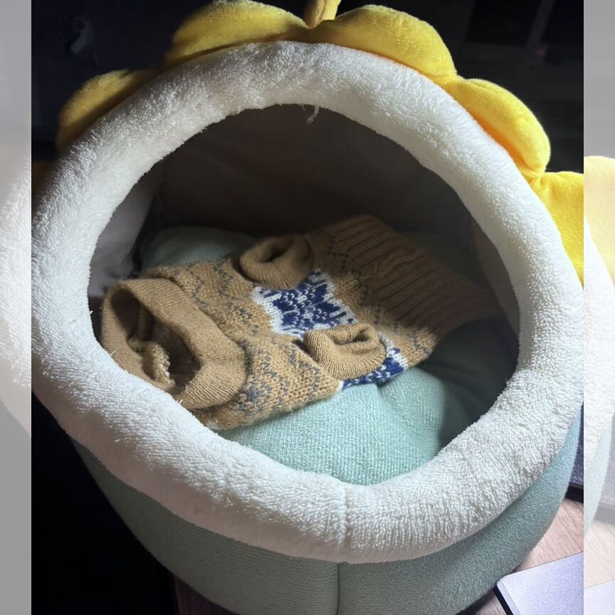 Домик доя кошки и кофта