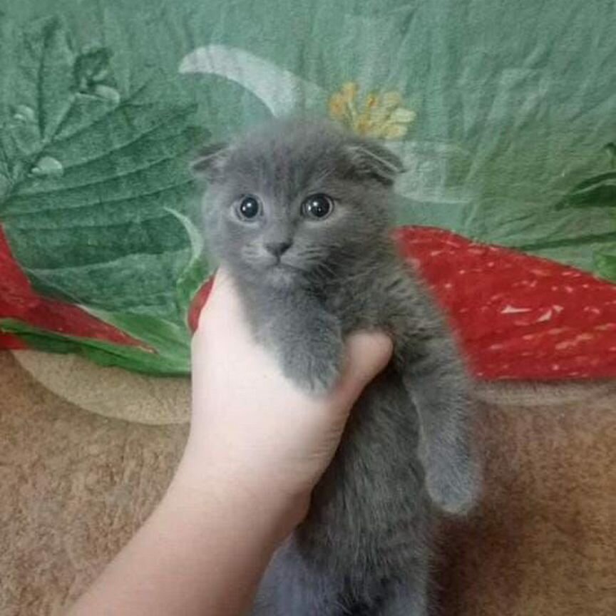 В хорошие руки